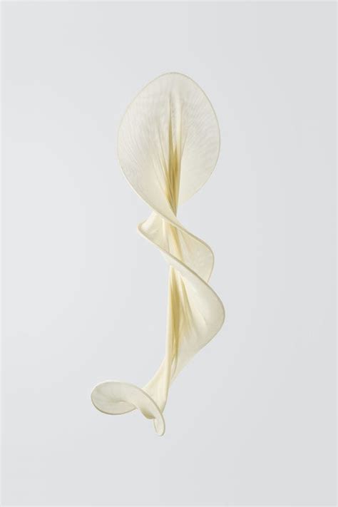 Li Szu — Lasalle Ma Fine Arts Graduation Exhibition