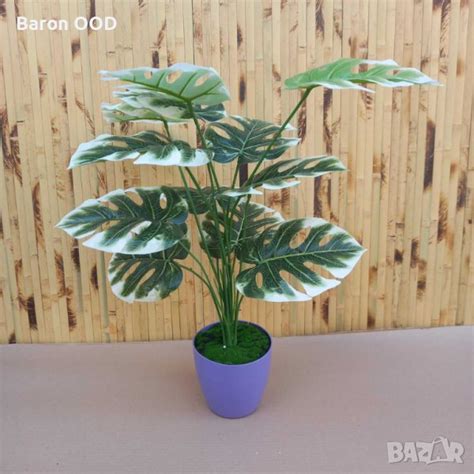 Декоративно изкуствено растение Монстера в саксия в Изкуствени цветя в гр Бургас Id42891187