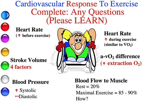 How Does The Cardiovascular System Improve With Exercise At Jack Black Blog