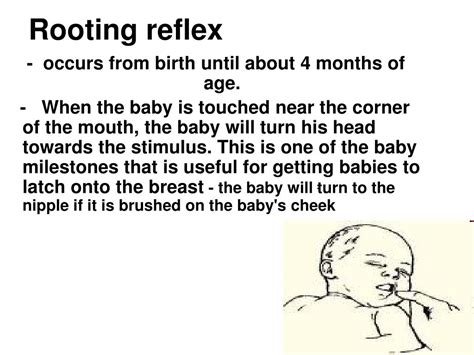 Ppt Neonatal Reflexes Powerpoint Presentation Free Download Id 358569