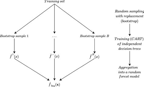 Flowchart Of Training A Random Forest Tree And Aggregation Of Results