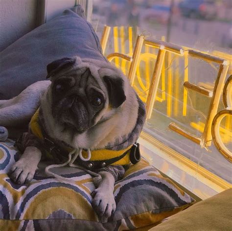 женственность на ямале 💃🏼🌨🌬 On Instagram “А почему Милка голая🤨недавно удивились все мои