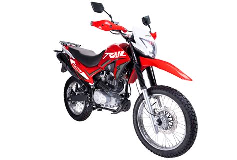 Trail 250 Motor 1