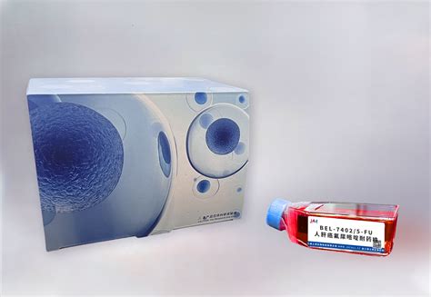 BEL 7402 5 FU细胞 人肝癌氟尿嘧啶耐药株 金少源 上海 生物科技有限公司