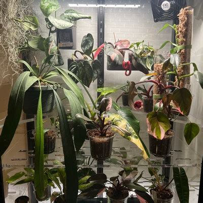 120mm Fan Mount For Ikea Cabinet Greenhouse Etsy