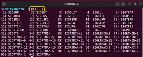 the “kill” command in linux [4 practical examples]
