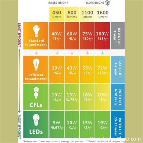 Types Of Illumination 🥷 Knowledge Ninja