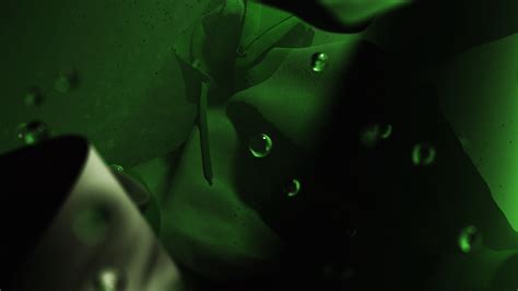 Assembly The Dye Behance