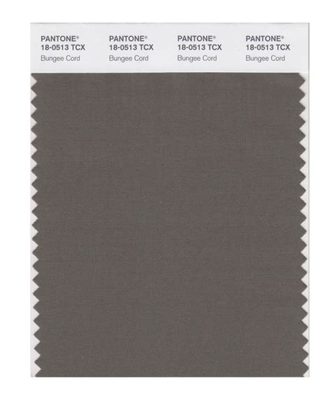 Pantone Smart Color Swatch Card 18 0513 Tcx Bungee Cord Columbia Omni