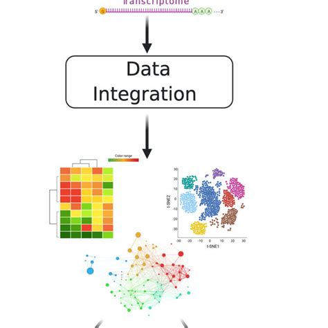 Pipeline Of The Integration Of The Clinical Data And Multi Omics Data