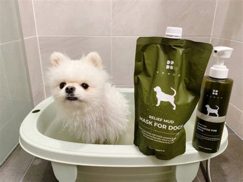 개통령도 추천한 비알머드 릴리프 머드 마스크 포 도그 보습력 좋은 강아지목욕 애견용품 네이버 블로그