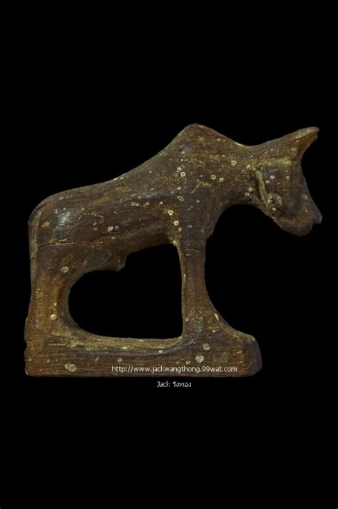 วัวธนู เขาวัวกระทิง หลวงพ่อน้อย วัดศรีษะทอง Jack วังทอง