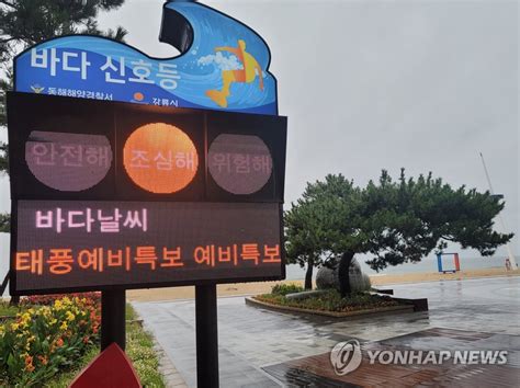 전주 등 전북 8곳 태풍경보남원 등 4곳 태풍경보 유지 나무뉴스