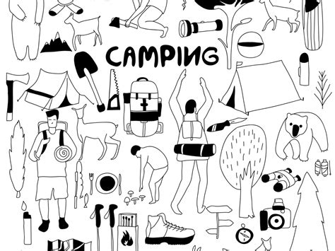 Biodegradable Wet Wipes A Step Toward Sustainable Camping