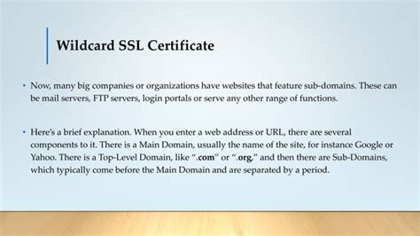 Major Reasons For Big Organizations To Have Wildcard SSL Certificates PPT