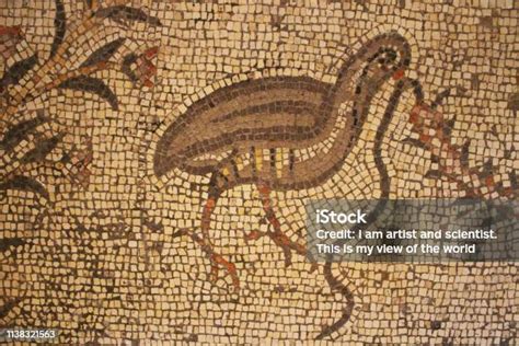 빵과 물고기의 곱셈의 교회 비잔틴 모자이크 바닥의 일부 Tabgha 갈릴리에 대한 스톡 사진 및 기타 이미지 갈릴리 모자이크 물고기 Istock