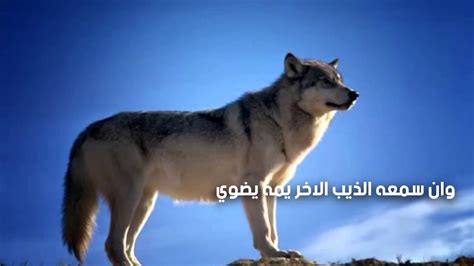 خوي الجنب كلمات سعد الذرفي اداء محمد نور Youtube