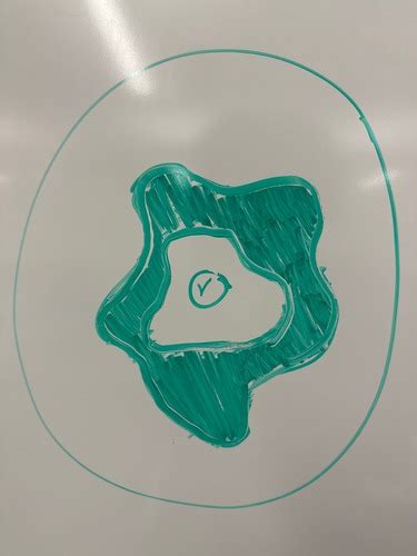 Exercise 10 Vancomycin Susceptibility Test Flashcards Quizlet