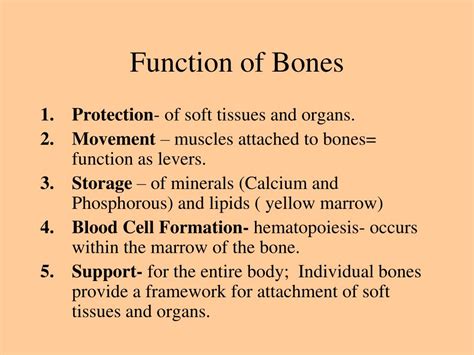 PPT Bones And The Skeletal System PowerPoint Presentation Free Download ID 816237