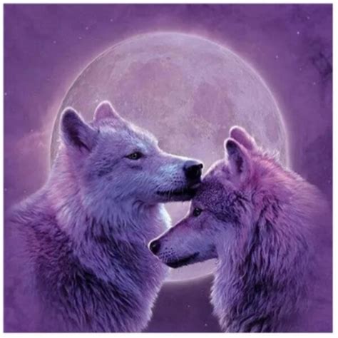 Вълци 2020 см —