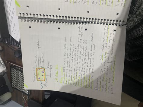 Cell Structure And Transport Gcse Teaching Resources