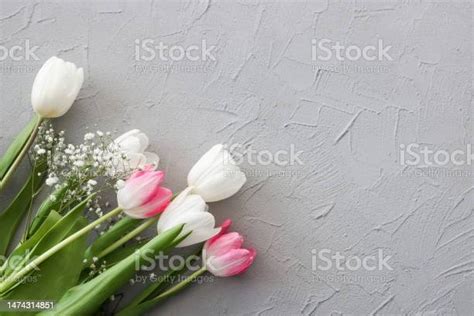 분홍색 튤립과 흰색 Gypsophila 꽃 꽃다발은 세련된 회색 돌 배경에 있습니다 어머니의 날 생일 축하 개념 텍스트 공간을 복사합니다 모형 공휴일에 대한 스톡 사진 및