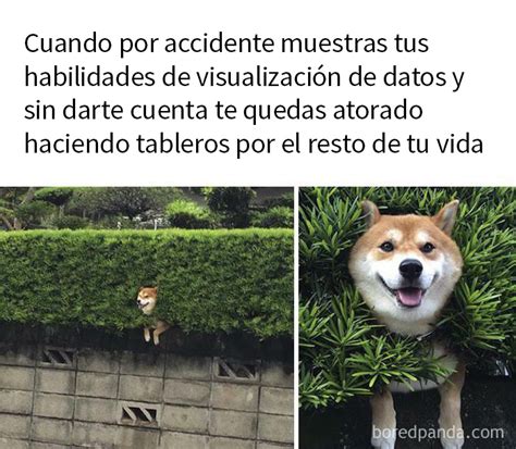 20 Dolorosos Pero Divertidos Memes Sobre El Trabajo Para Recordarte Que