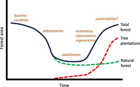 Idealized U Shaped Forest Transition Curve Mather 1992 Rudel Et Al