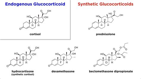 Glucocorticoids Mechanisms And Side Effects YouTube