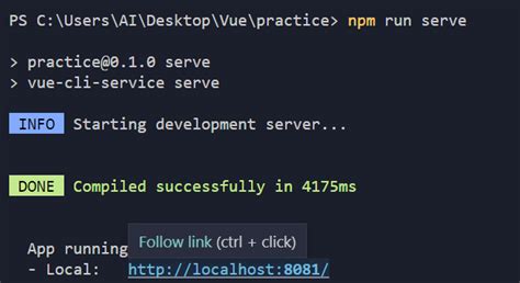 Vue Vue1 Setting