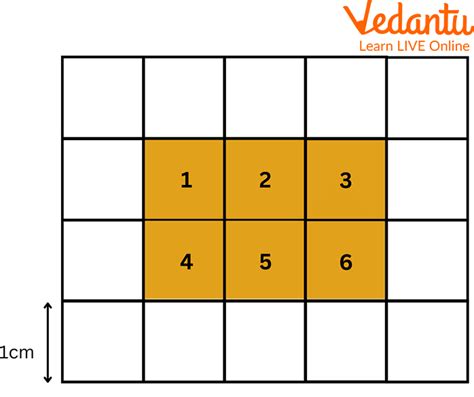 Master Measuring Area And Paths On A Grid Easy Math Guide