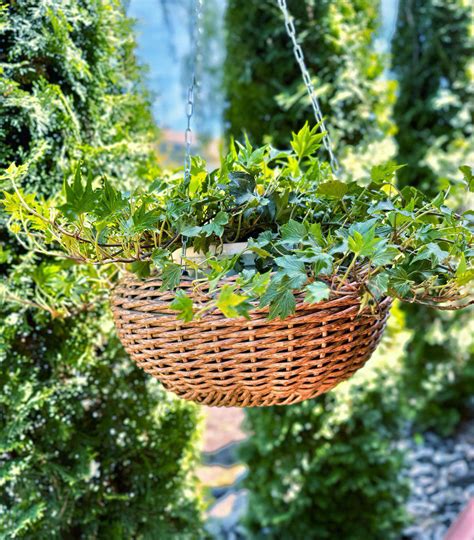 ᐉ Кашпо зі штучного ротангу підвісне з плетеним дном 5 л 14586106 • Краща ціна в Києві