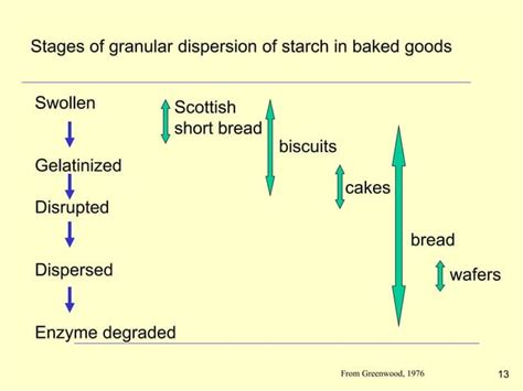 Starch Conversion Gelatinization Processing Ppt Chemistry Science