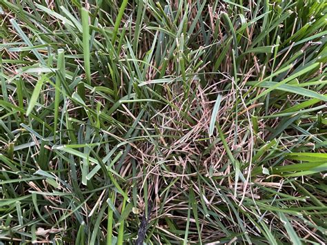 3 B3 D24 C1 D9 E2 4 F82 9 Aac 6559 E22 Df98 E — Postimages