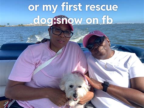Snows On Instagram And Facebook R Maltese