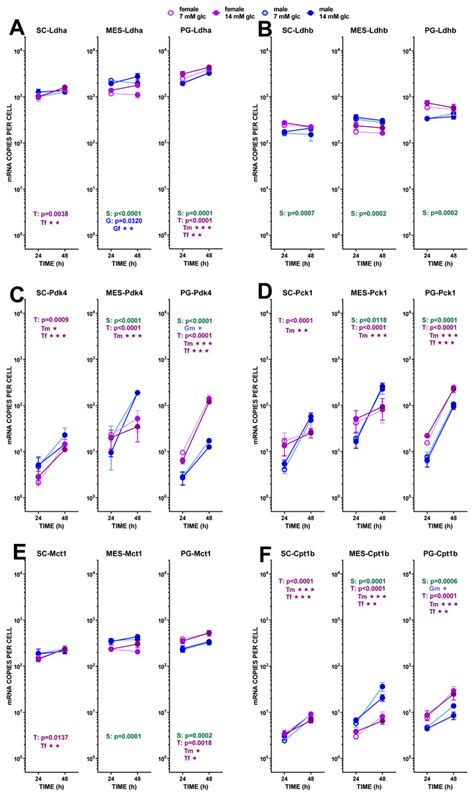 Effect Of Sex On Glucose Handling By Adipocytes Isolated From Rat