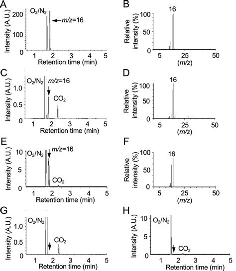 Detection Of CH During Dimethylmercury Or Methylmercury Incubation By Download Scientific