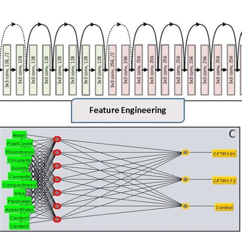 computational analysis framework a deep learning based segmentation