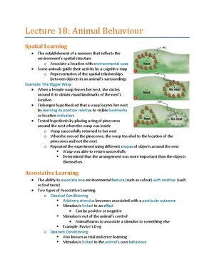 BIOL 1030 Lab 1 Assignment Phylogenetic Tree Phylogenetic Tree Figure 1 The Phylogenetic