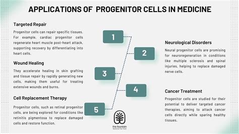 Stem Cell Vs Progenitor Cell Key Differences