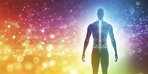 Uman Body Background Images Hd Pictures And Wallpaper For Free