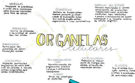 Organelas CelularescitoplasmÁticas Mapa Mental Mapa Mapas Mentais