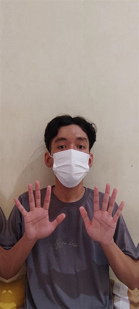 Bisindo Number Object Detection Dataset By Project A