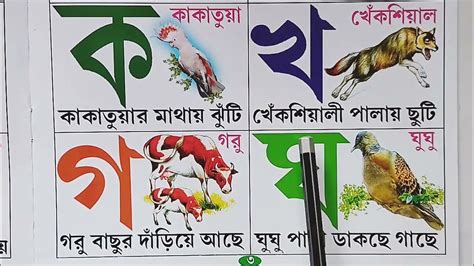 ক খ গ ঘ ঙ বাংলা। ব্যাঞ্জনবর্ণ। বাংলা বর্ণমালা। কয় কাকাতুয়া। অআকখ। Banjanbarna । Bengali