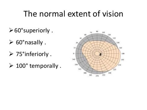 Visual Field Defects