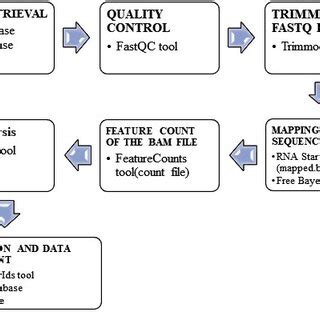 Flowchart For The Analysis Of RNA Seq Data Describing The Use Of Download Scientific Diagram