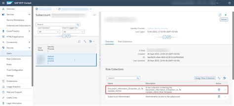 Use Free Tier To Subscribe To Document Information Extraction Ui Sap Tutorials