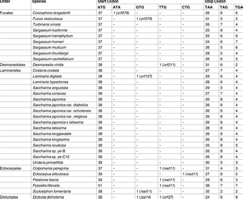 Codon Usage Comparison For The Complete Mitochondrial Genomes Of The Download Table
