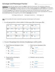 Genotype Phenotype Worksheet Nikko Pdf Genotype And Phenotype Practice Name Introduction