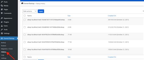 How To Restore From The History Of The Everest Backup Plugin